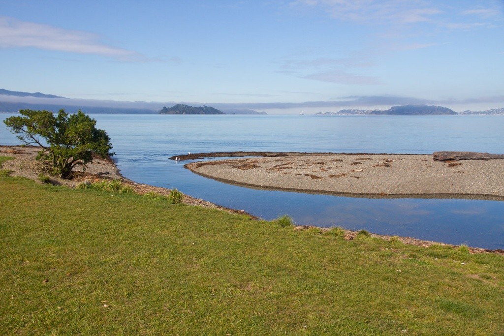 Petone Beach at Water Ski Club | Swim Guide