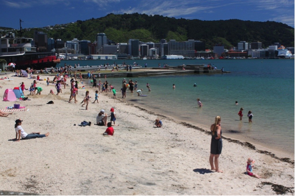 Oriental Bay at Freyberg Beach - Swim Guide