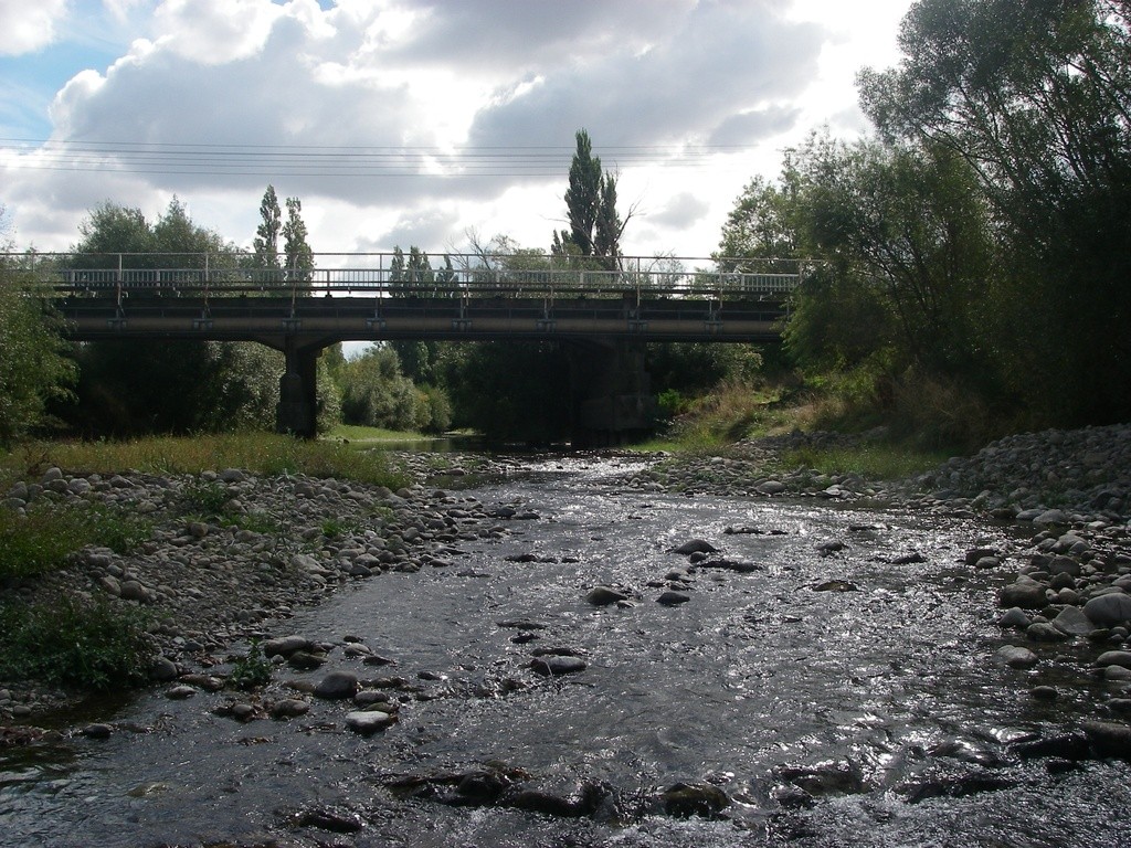 Waipoua River at Colombo Rd Bridge | Swim Guide