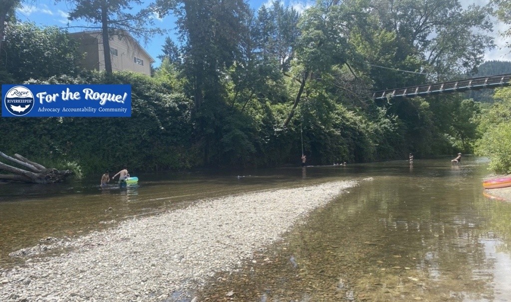 Evans Creek at Palmerton Park | Swim Guide