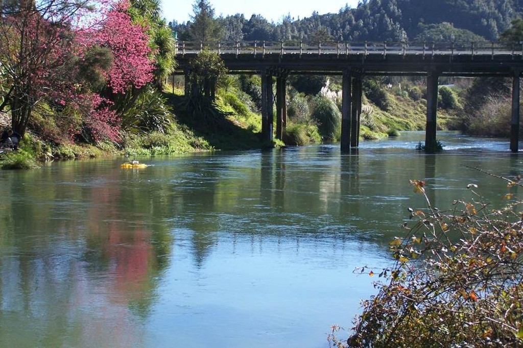 Tarawera River at Kawerau Bridge | Swim Guide