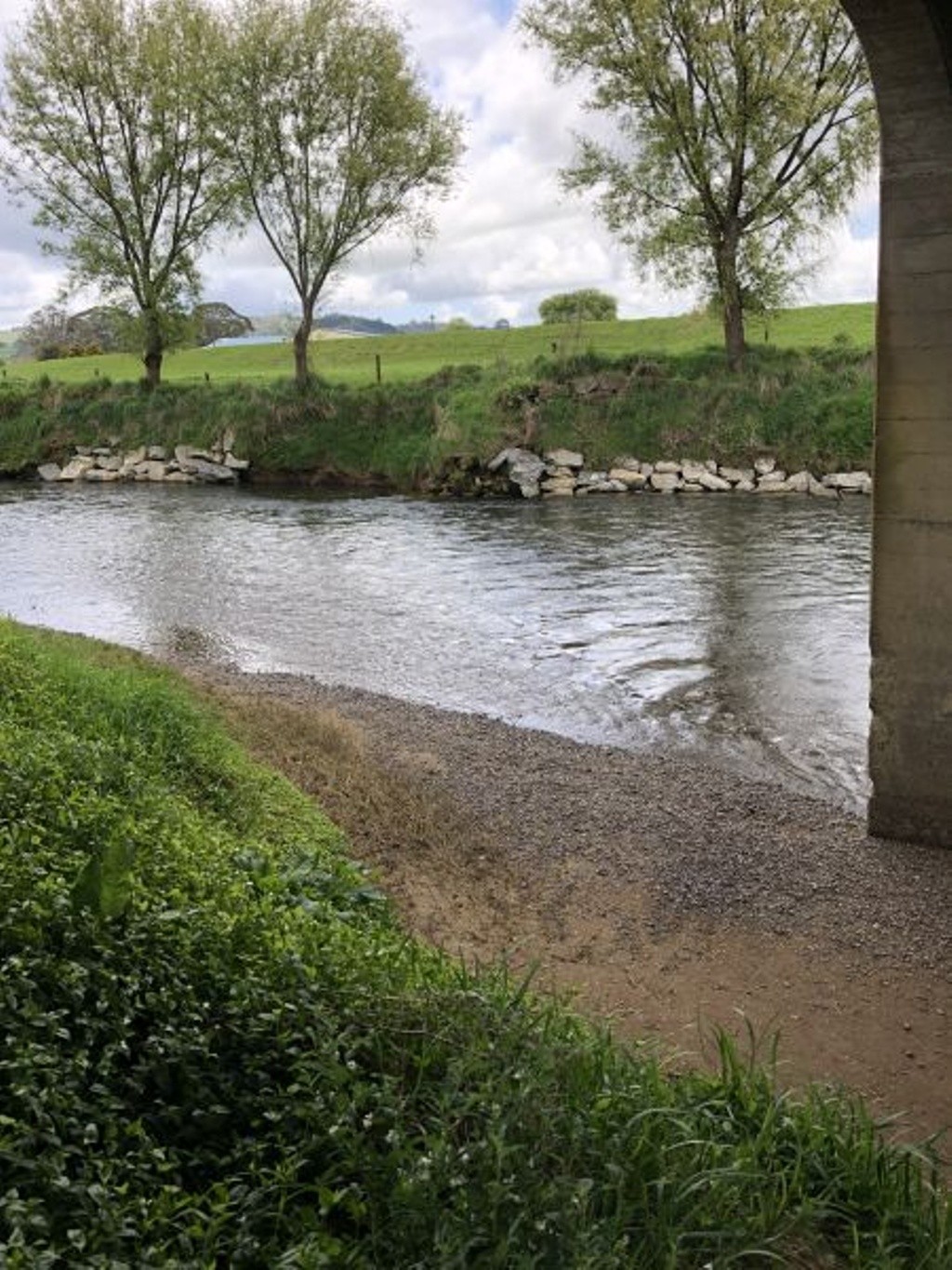 Waipa River at Otorohanga - Swim Guide