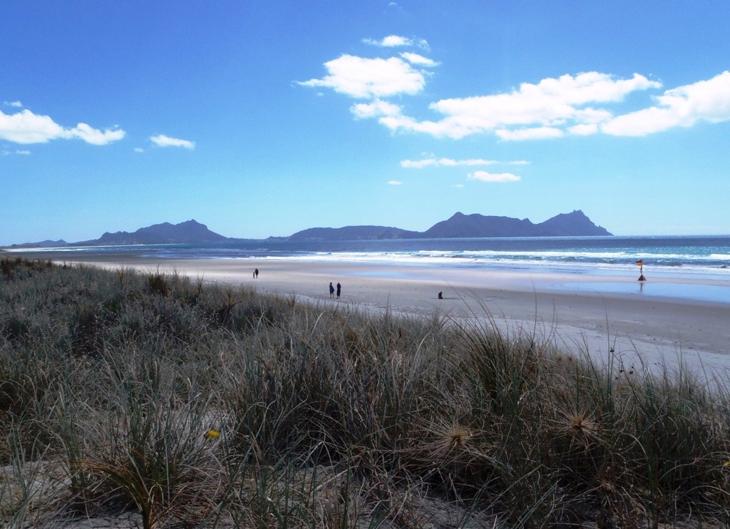 Ruakaka Beach at Surf Club | Swim Guide