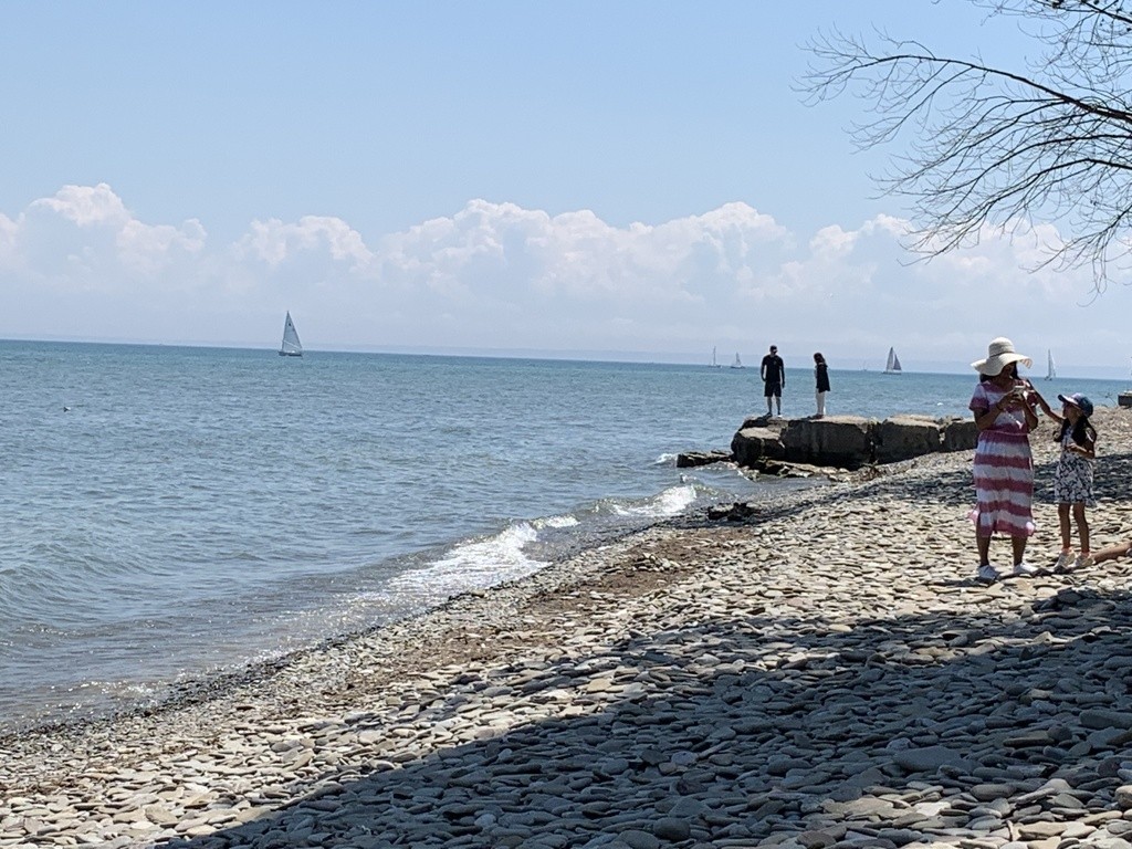Coronation Park West - Swim Guide