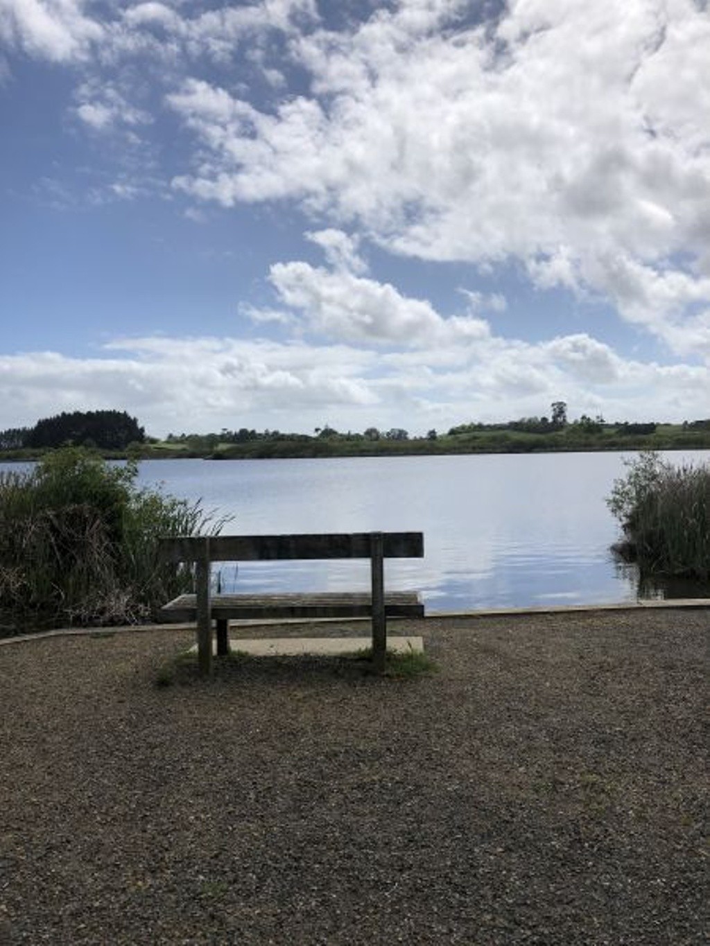 Lake Rotokauri | Swim Guide