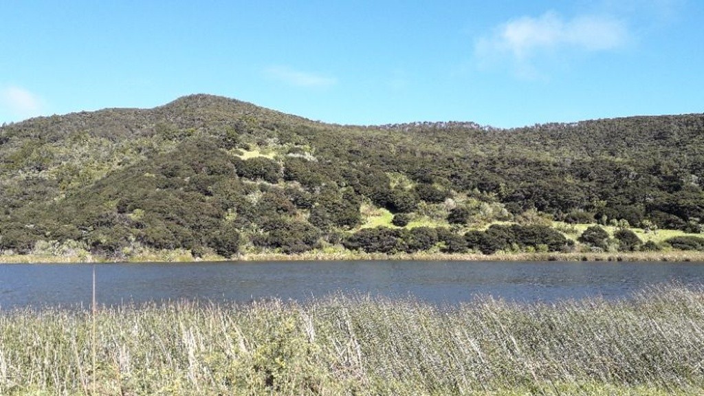 Lake Wainamu - Swim Guide