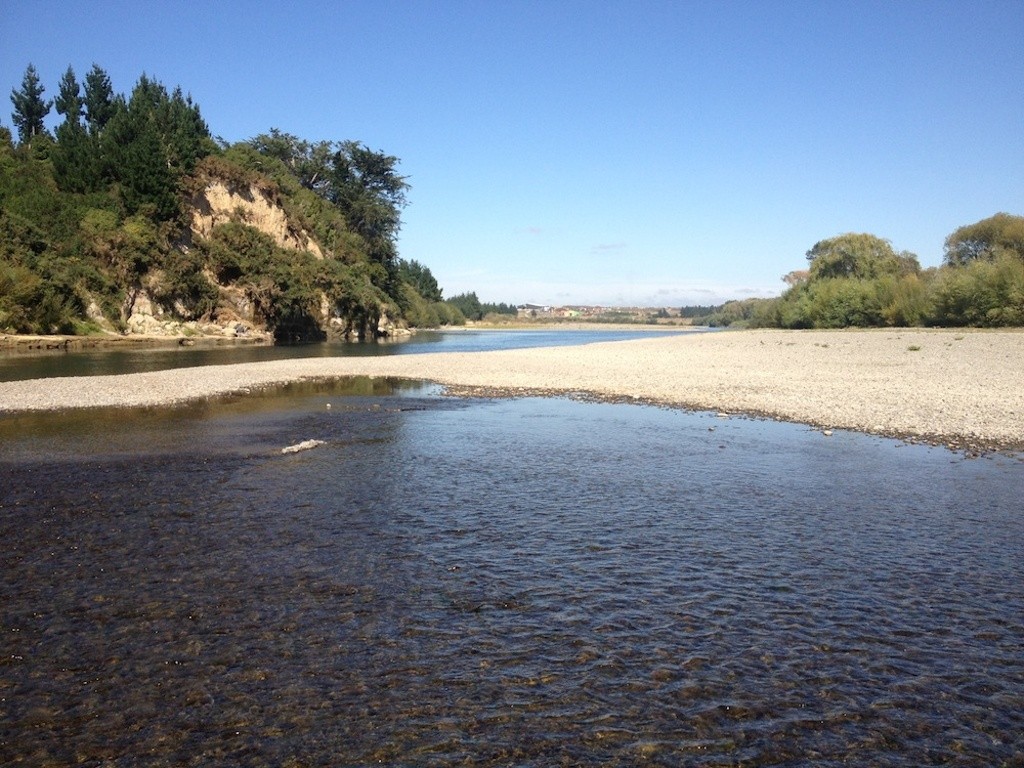 Manawatu River at Ahimate Beach (Waitoetoe Park) - Swim Guide