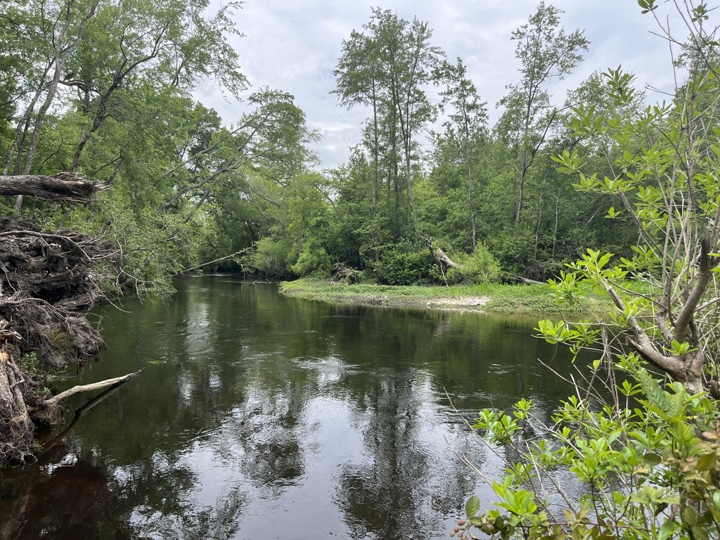 Lumber River - Honey Hole - Swim Guide