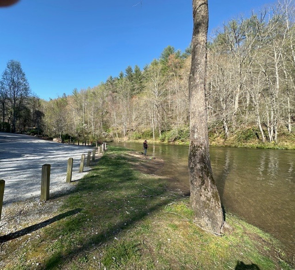 Tuckasegee River Shook Cove Access Area - Swim Guide
