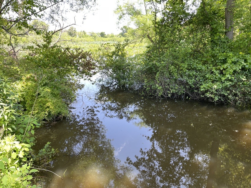 (RB1) Rocky Brook - Swim Guide