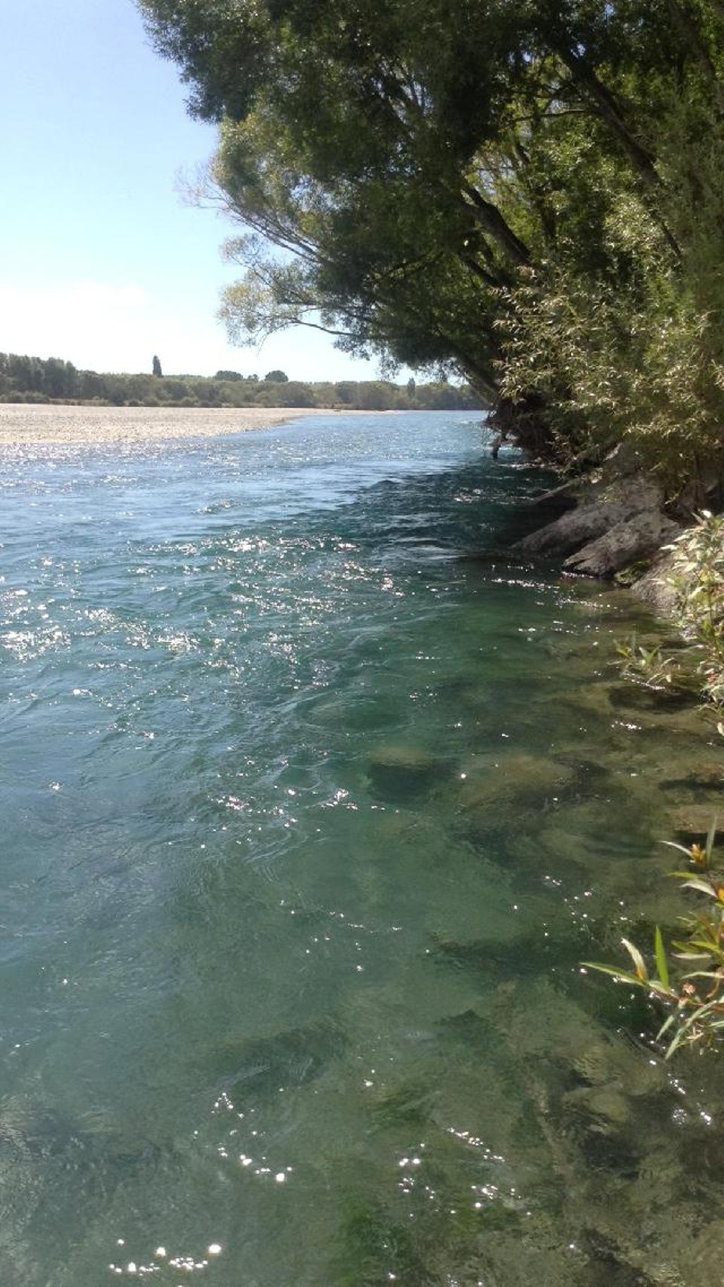 Waimakariri River at Rock Spur | Swim Guide