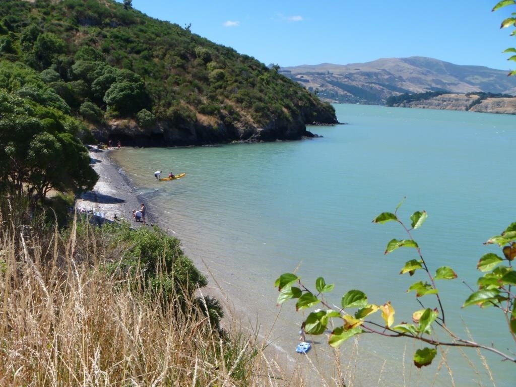 Rapaki Bay - Swim Guide
