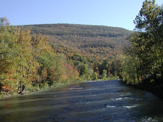 Esopus Creek West - Swim Guide