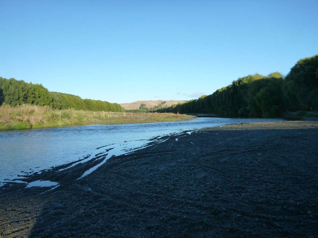 Tutaekuri River at Expressway Bridge - Swim Guide