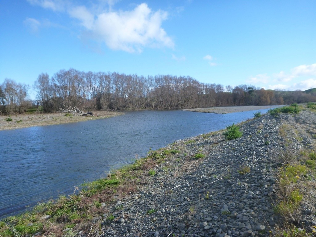 Tukituki River at Walker Road | Swim Guide