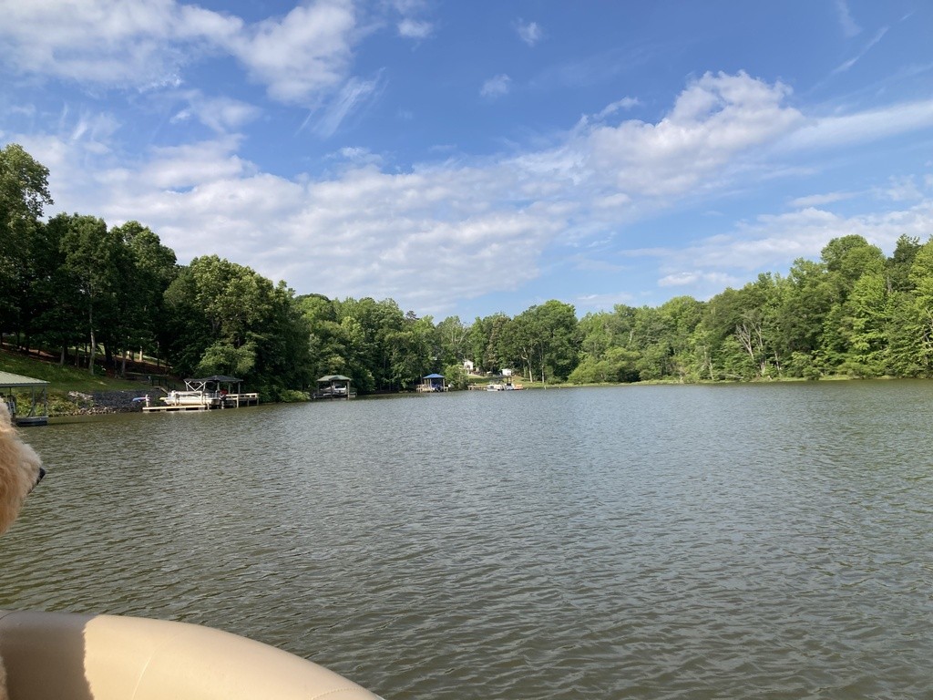 Lake Wylie - Little Allison Sandbar - Swim Guide