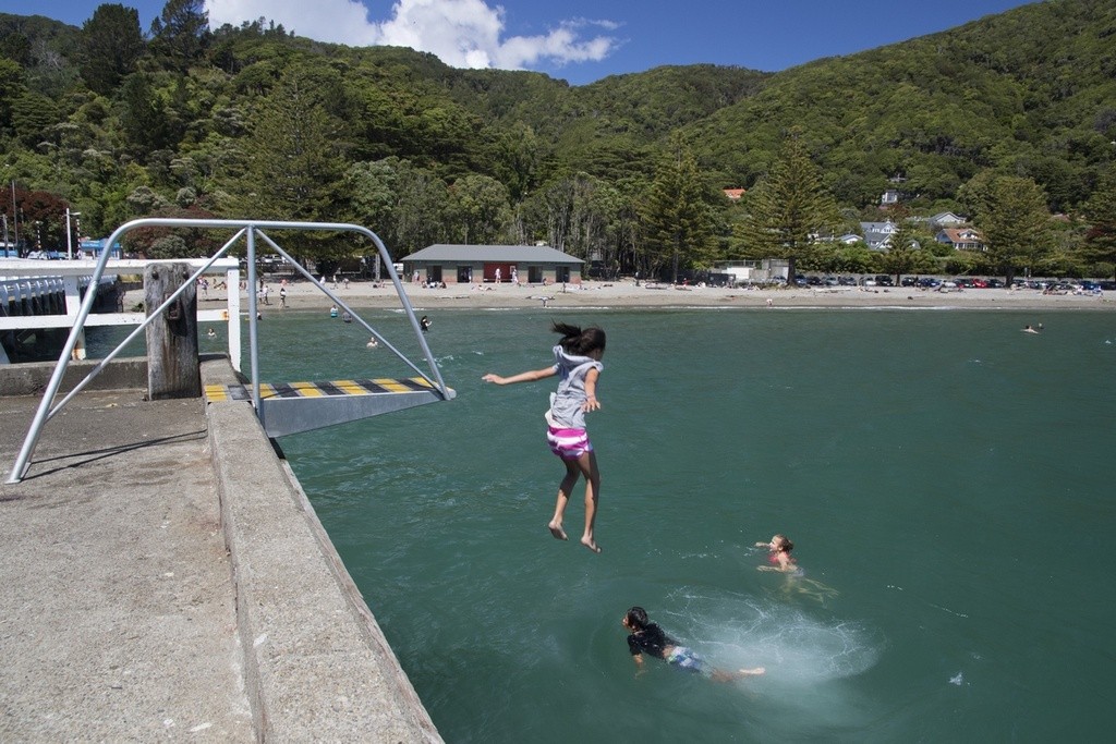 Days Bay at Wharf - Swim Guide