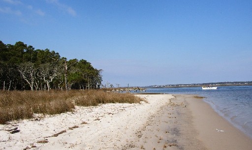 Brown's Island - Core Sound (C65A) - Swim Guide