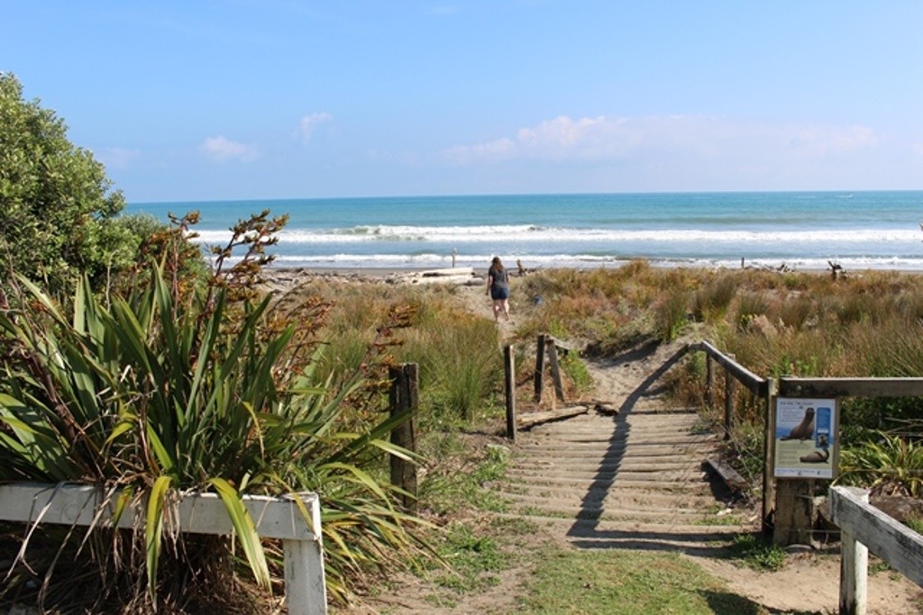 Waiotahe Beach at Surf Club | Swim Guide