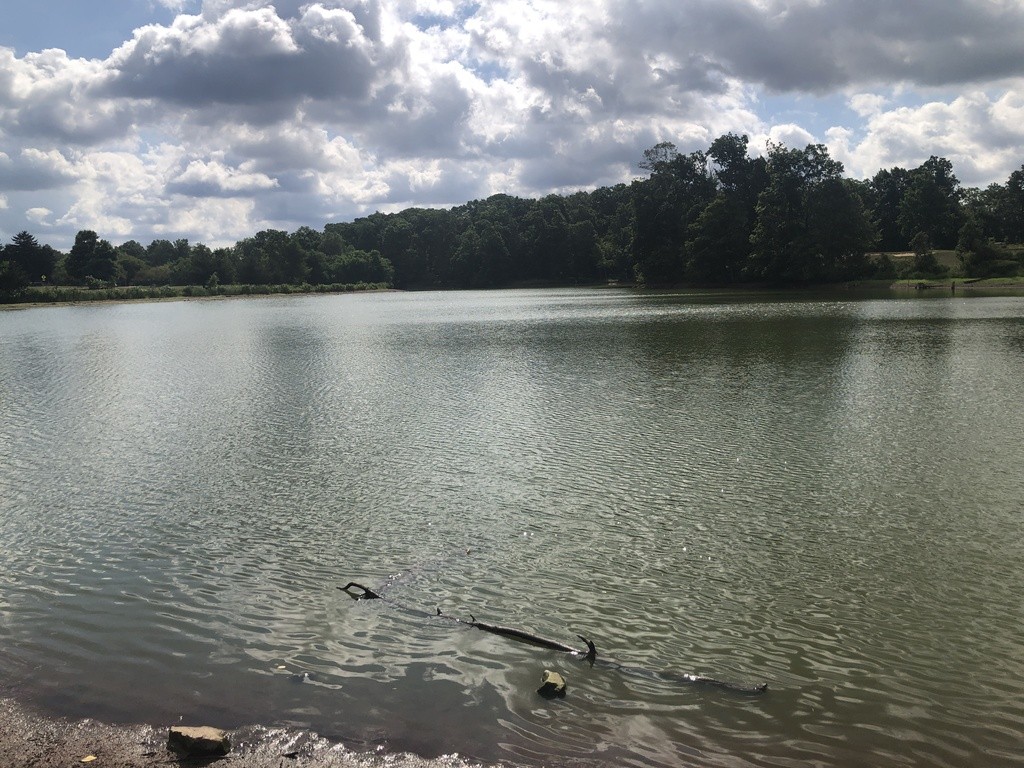 (SPBP1) Spooky Brook Pond - Swim Guide