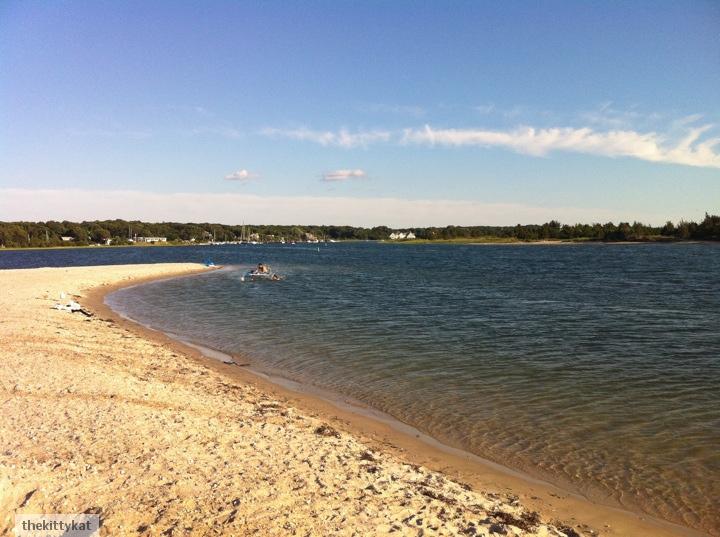 Maidstone Beach - Swim Guide