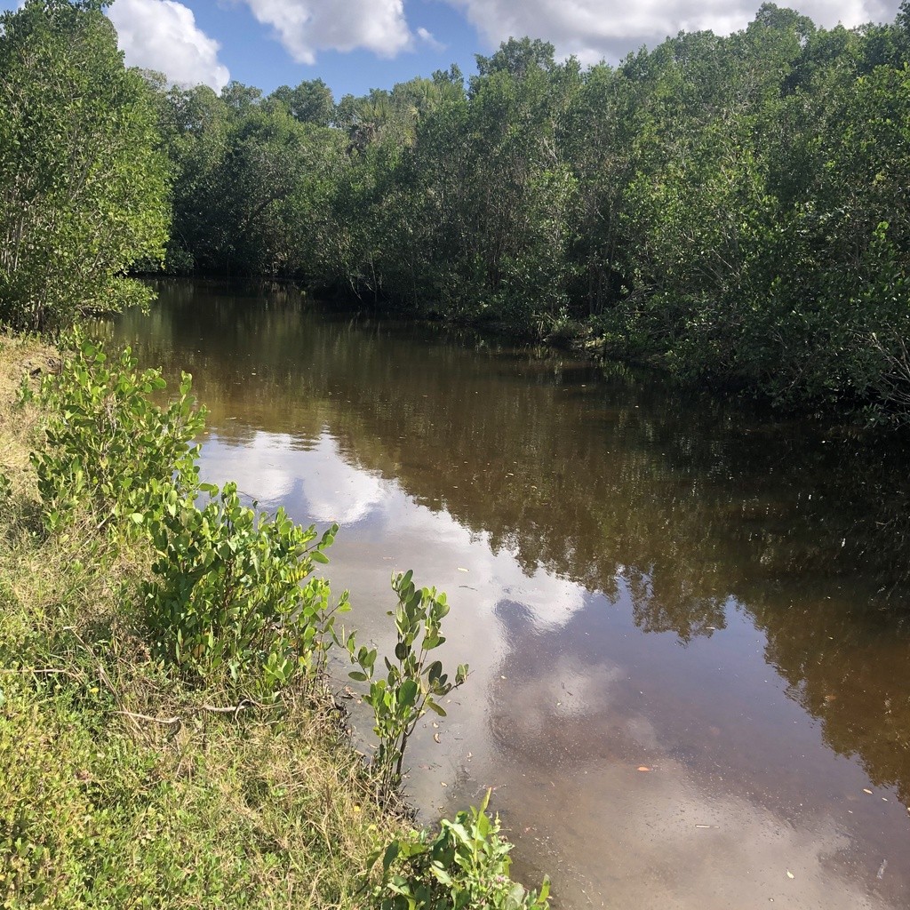 Gordon River Greenway Park Entrance - Swim Guide