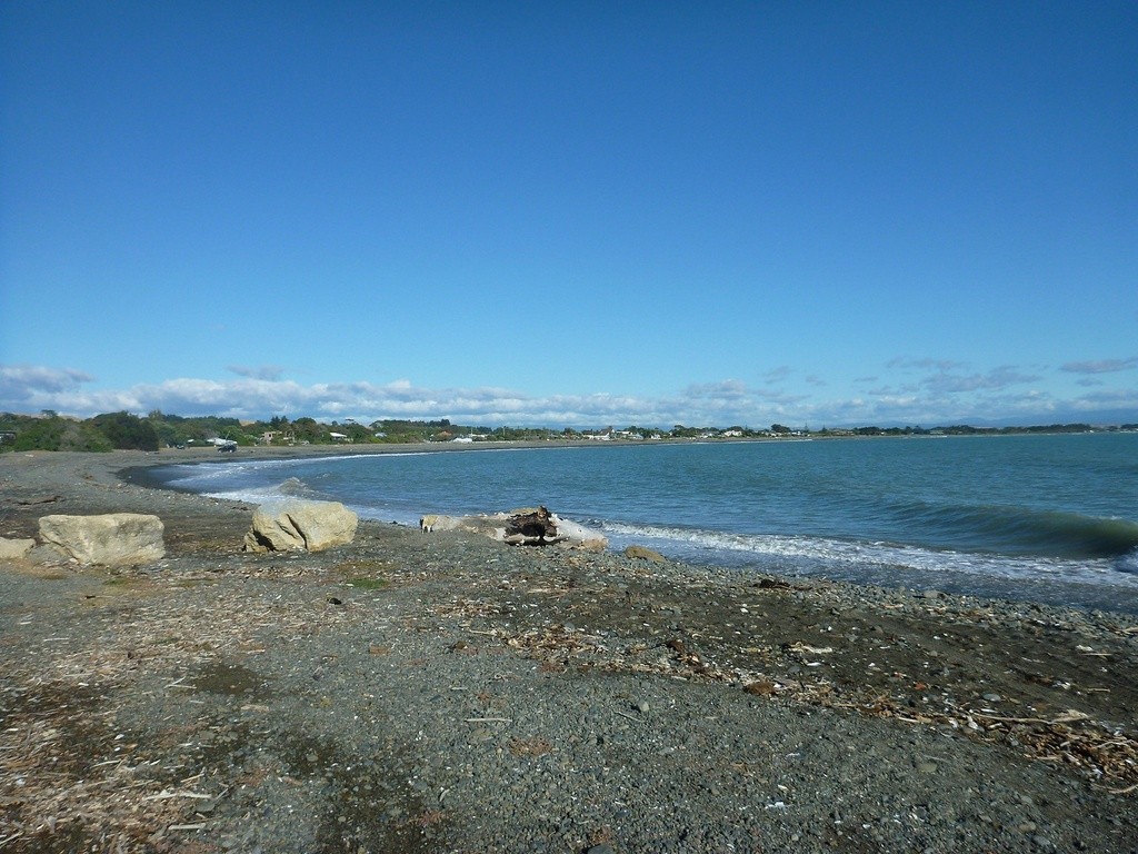 Te Awanga Beach - Swim Guide