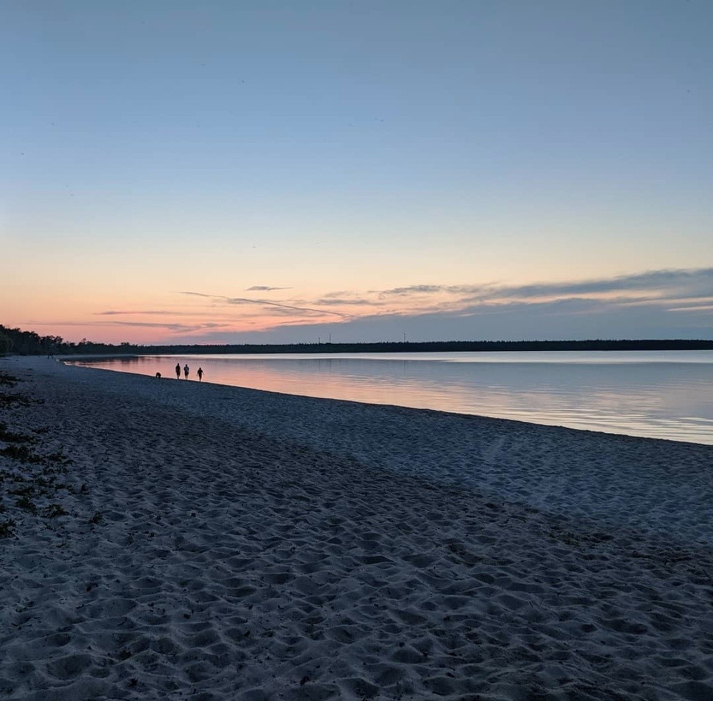 Albert Beach - Swim Guide