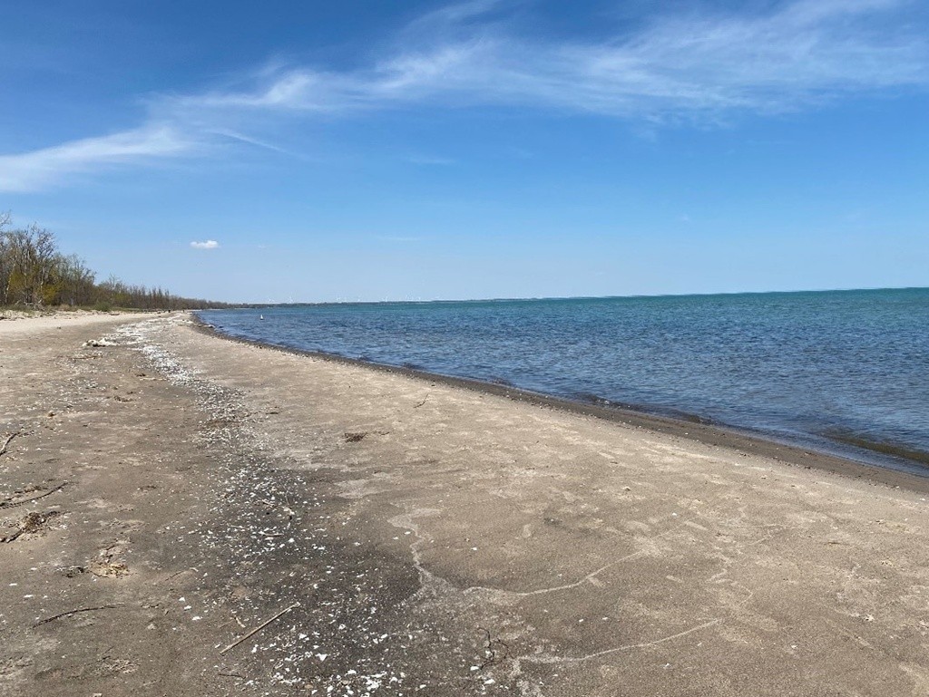 Rondeau Provincial Park - Lake Erie (Main Beach) | Great Lakes Guide