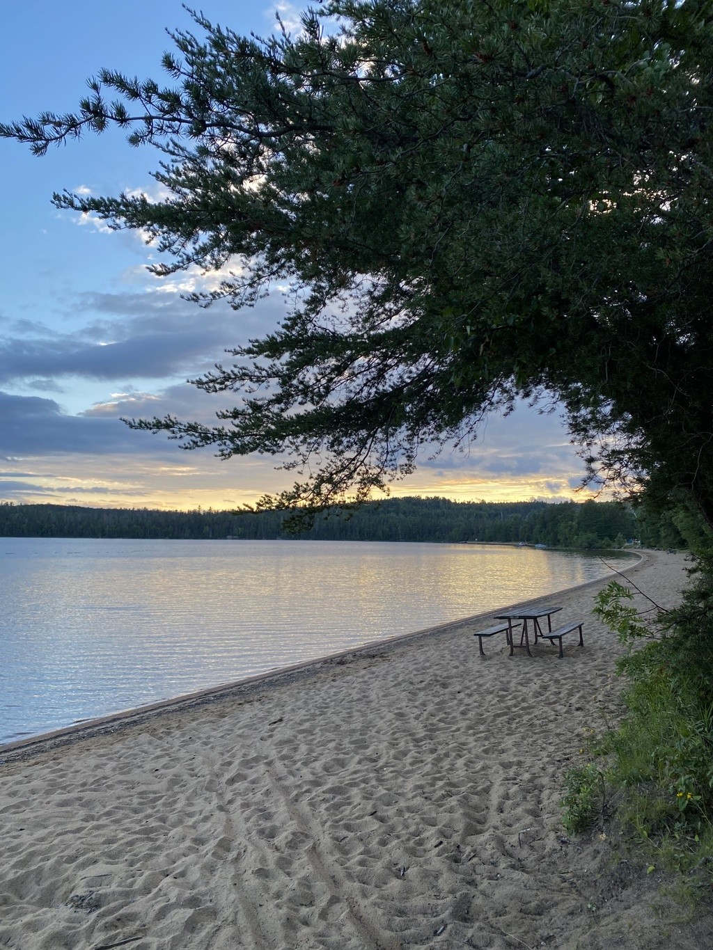 Halfway Lake Provincial Park Beach - Swim Guide