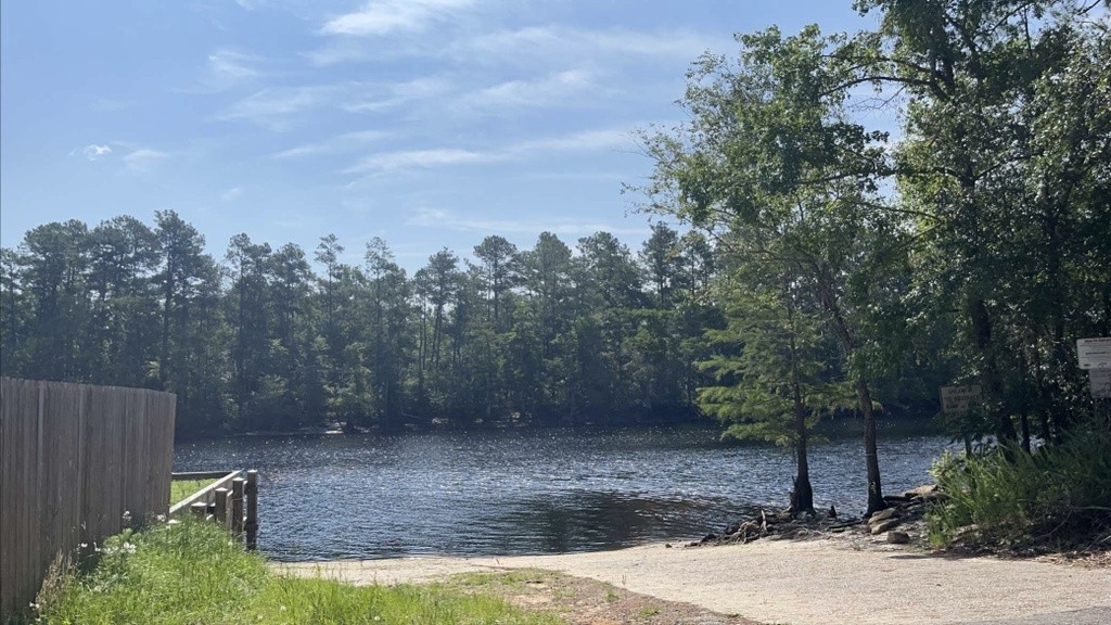 Little Pee Dee River - Fork Retch Landing - Swim Guide