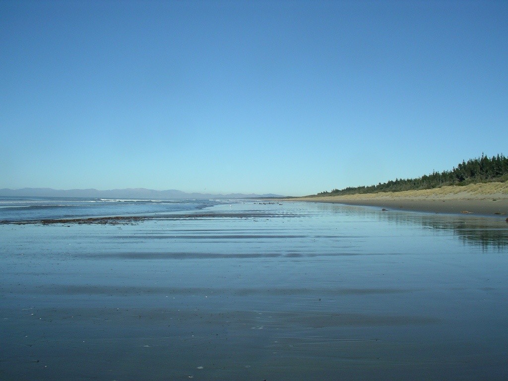 Waikuku Beach | Swim Guide