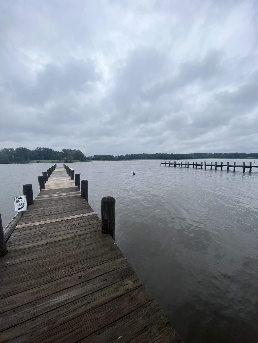 Bogles Wharf - Swim Guide