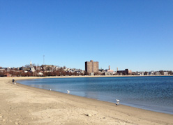 Carson (@I Street) - Swim Guide