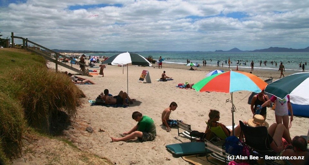 Waipu Cove Beach - Swim Guide