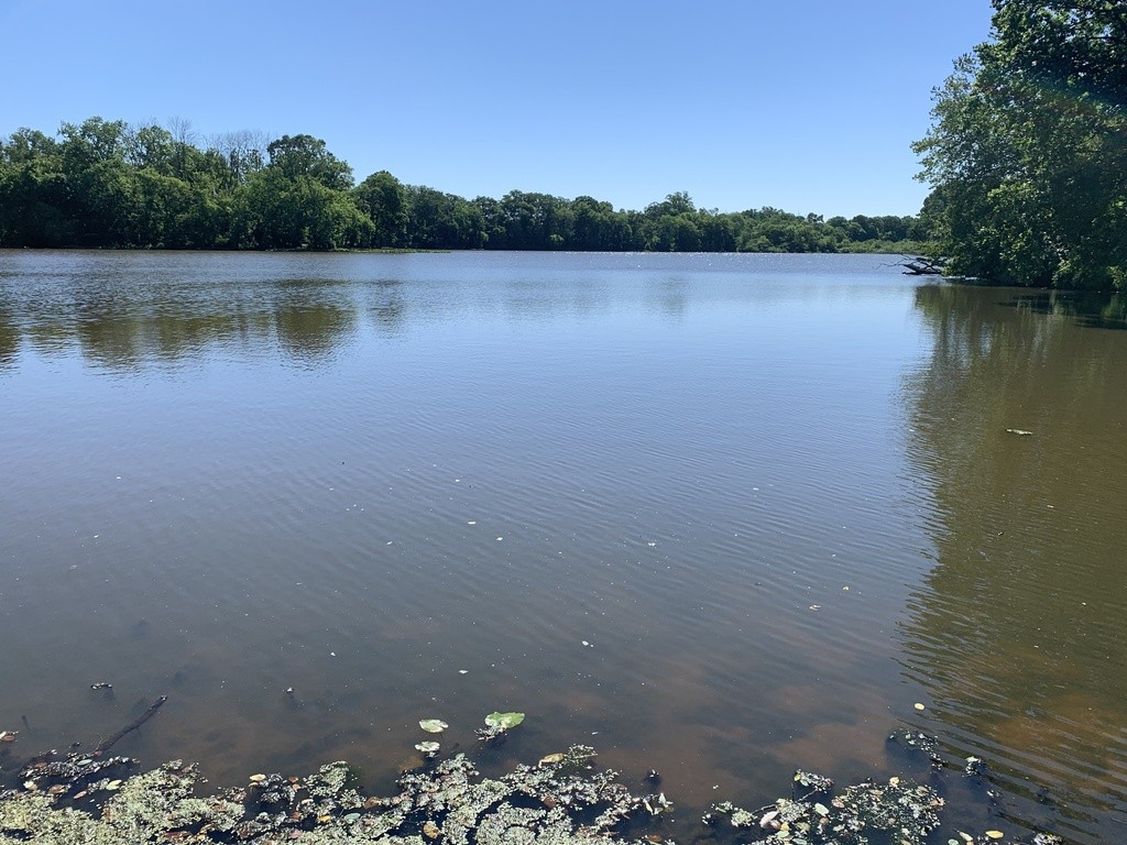 (ATL1) Allentown Lake - Swim Guide