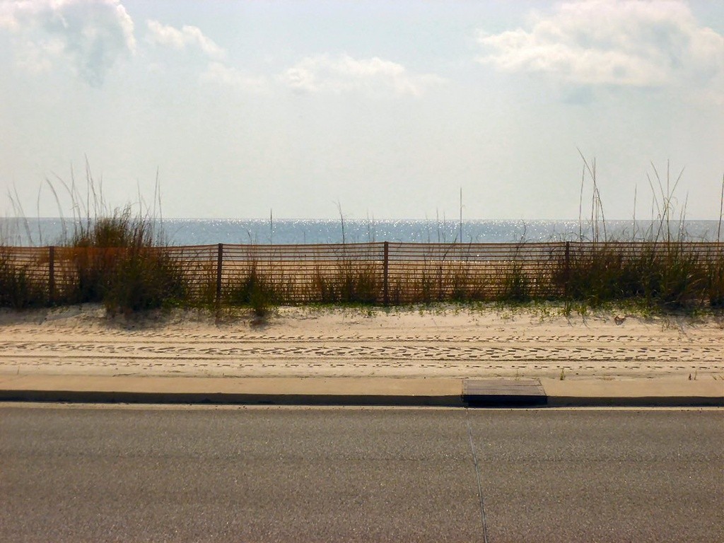 Lakeshore Beach - Swim Guide