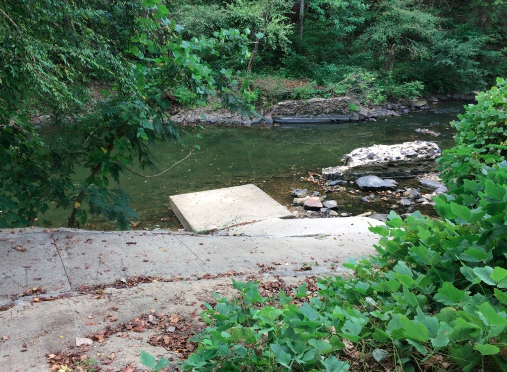 Old Overton Road - Swim Guide