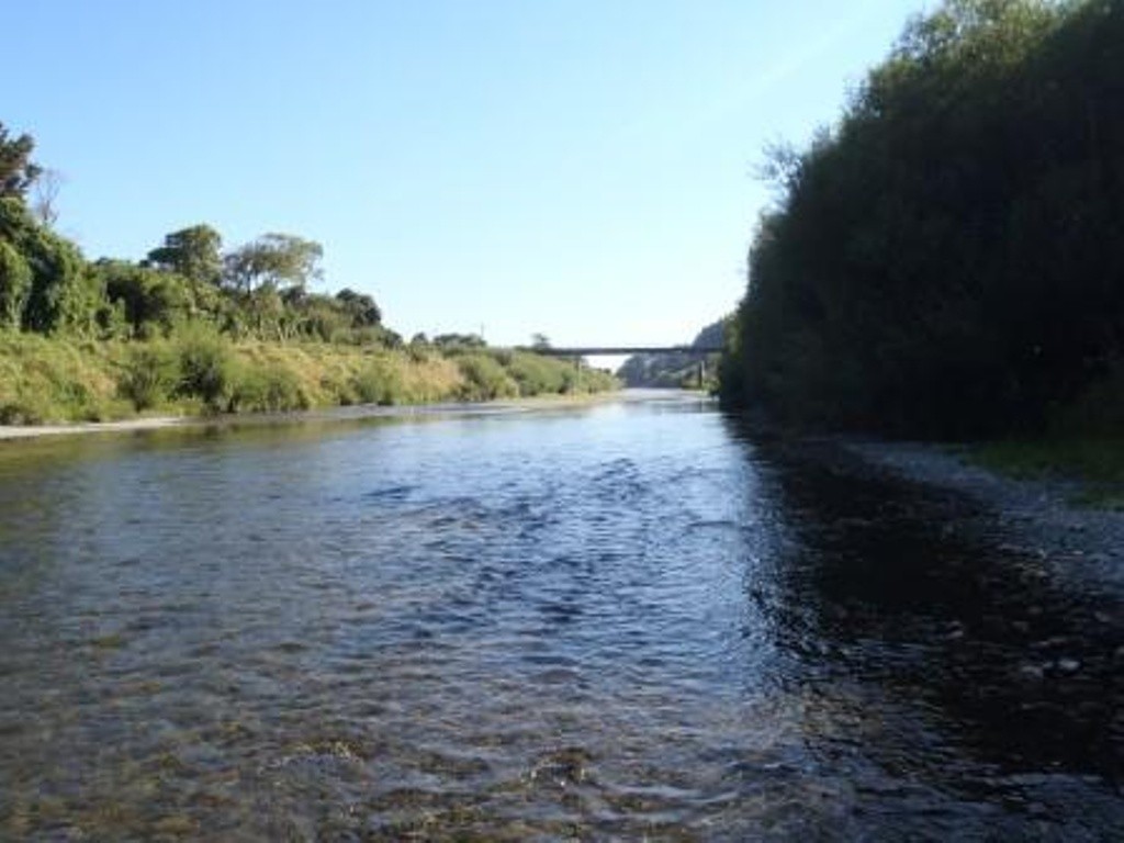 Manawatu River at Hopelands - Swim Guide