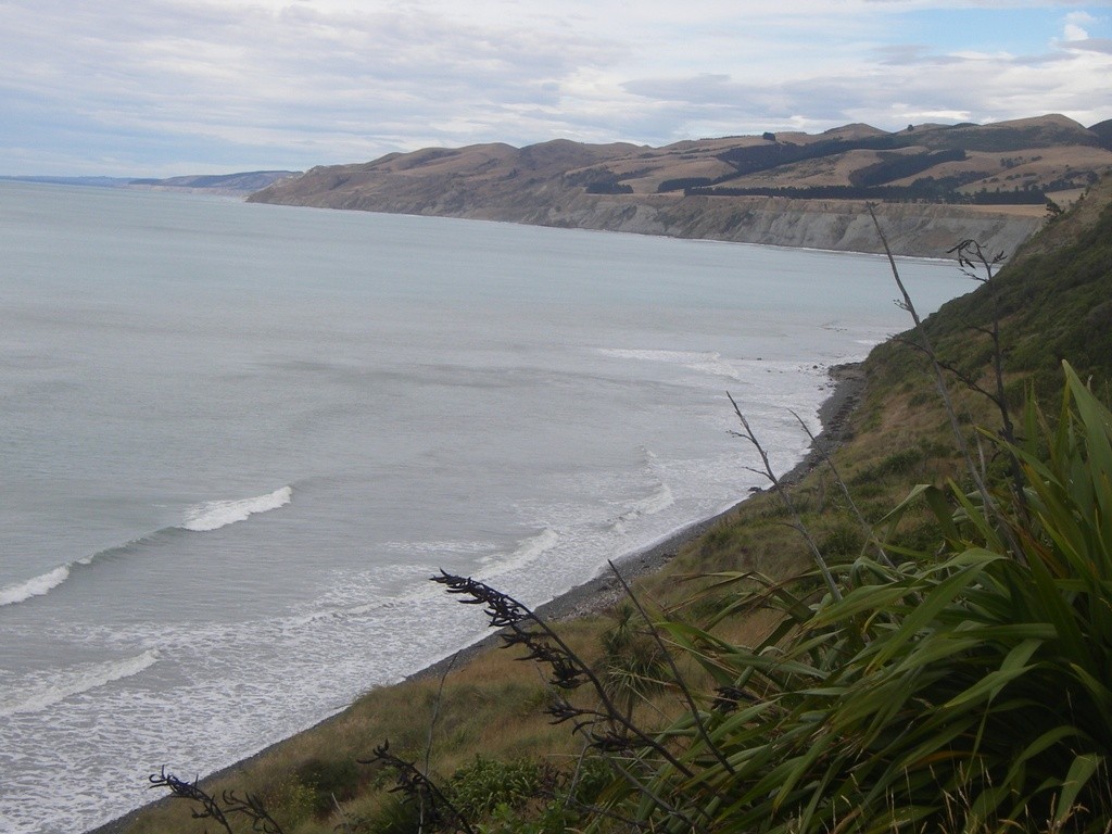 Motunau Beach | Swim Guide