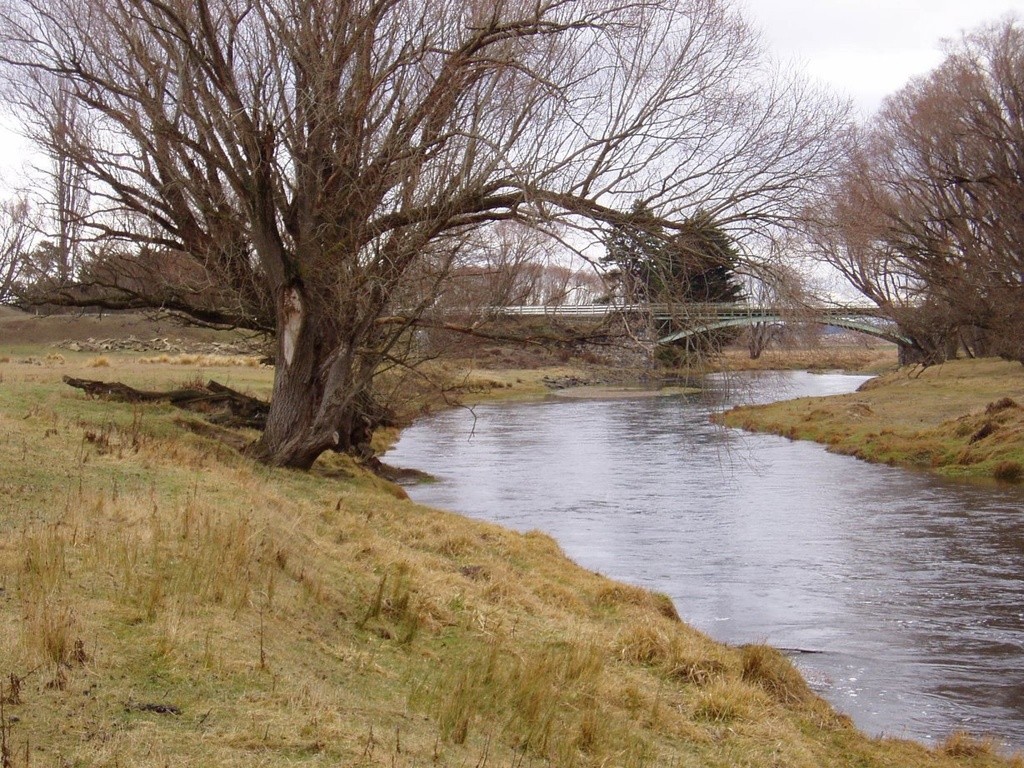 Taieri River at Waipiata - Swim Guide
