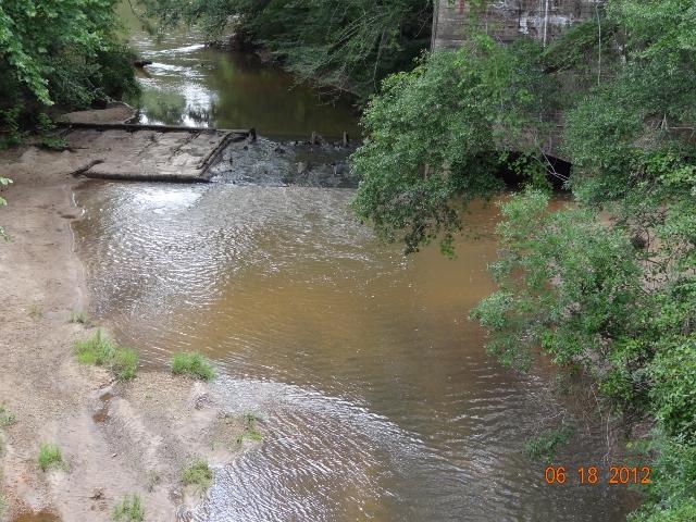 Little Choctawhatchee River at Old Power Dam Road/Dale CR 121 | Swim Guide