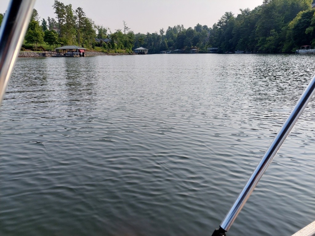 Lake Hickory - Plantation Point - Swim Guide