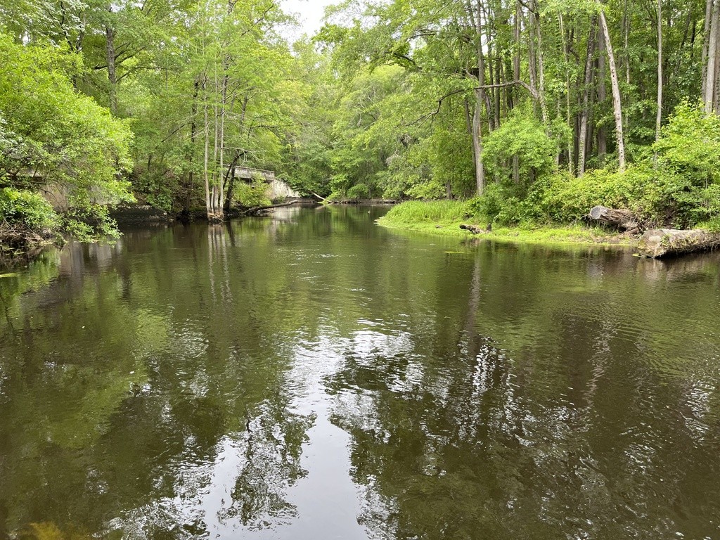 Lumber River - Wagram NC Wildlife Landing - Swim Guide