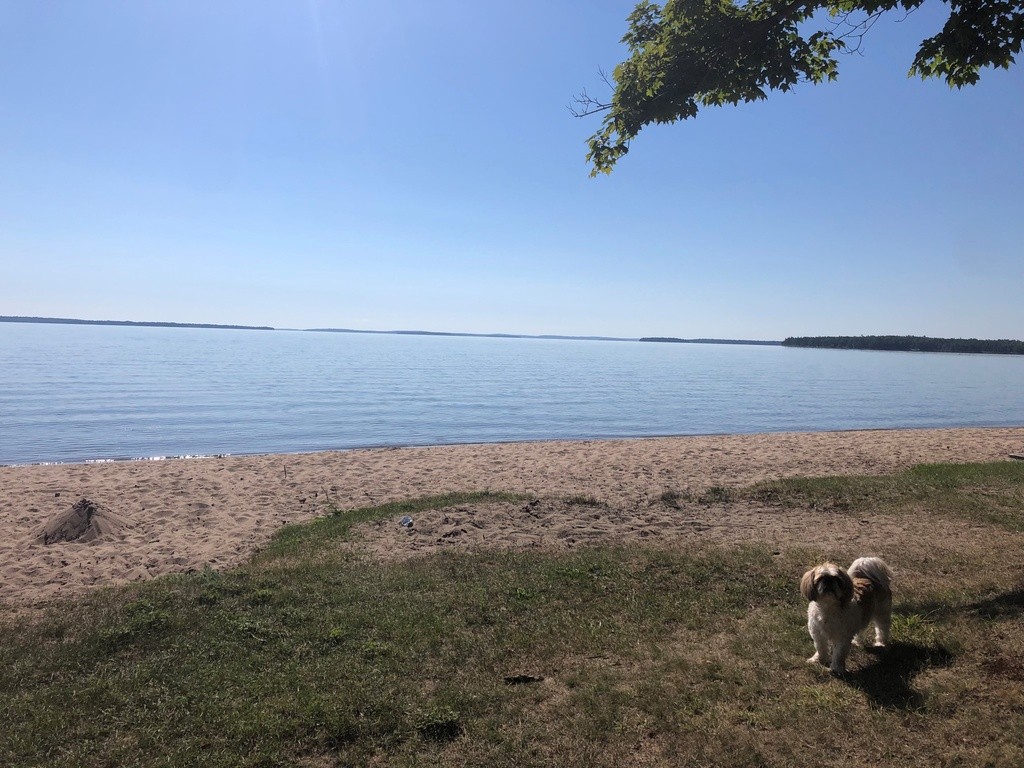 Beech Beach | Great Lakes Guide