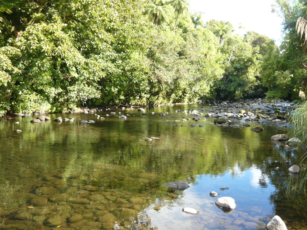 Patea River at King Edward Park Scout Den - Swim Guide