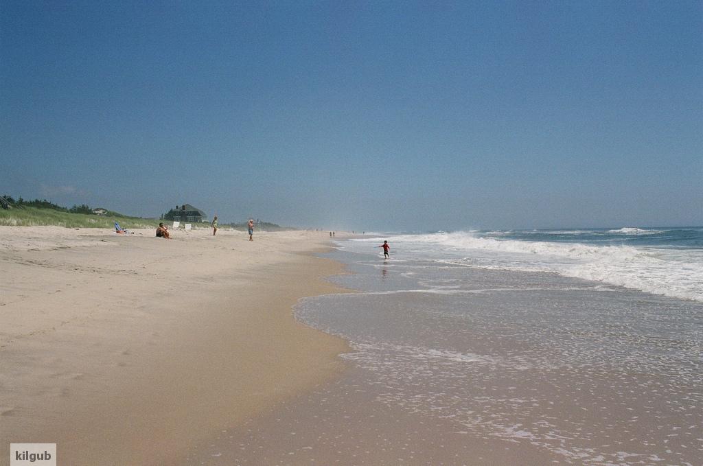 Flying Point Beach - Swim Guide