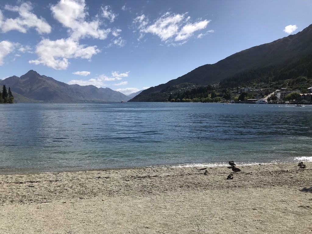 Lake Wakatipu at Queenstwon Bay - Swim Guide