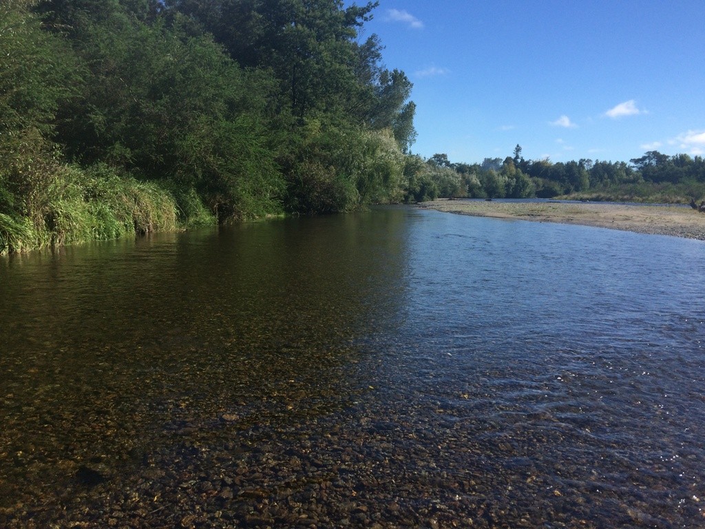 Oroua River at Timona Park - Swim Guide