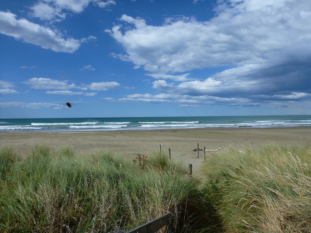 Porangahau Beach at Central Hawke's Bay - Swim Guide